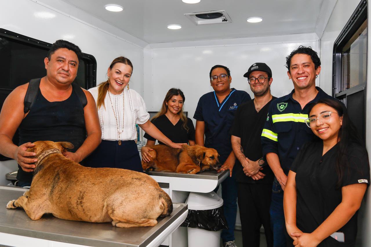 Cecilia Patrón impulsa el bienestar animal con Mega Jornada de Esterilización gratuita en Mérida ...